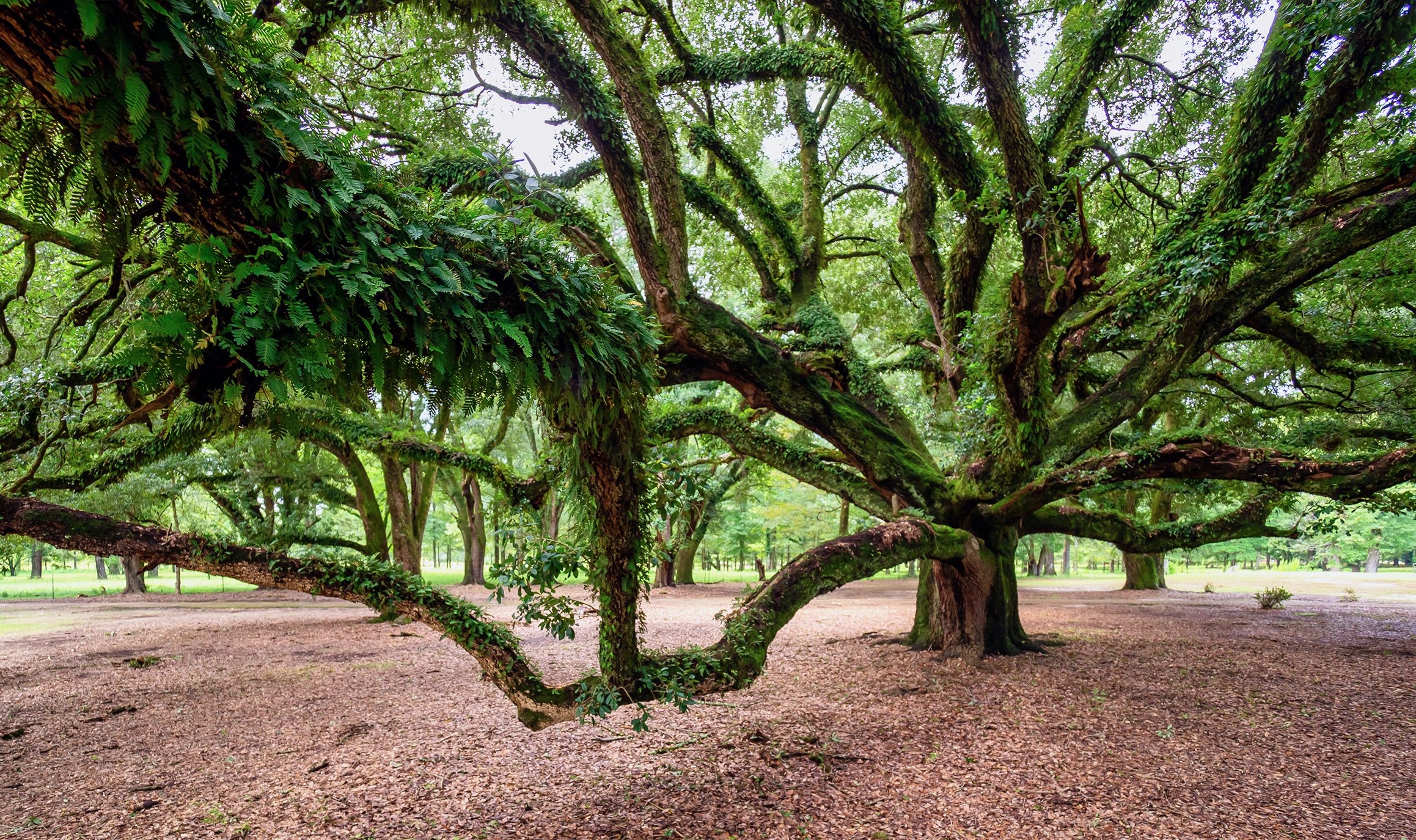 Pricing – The Reed House